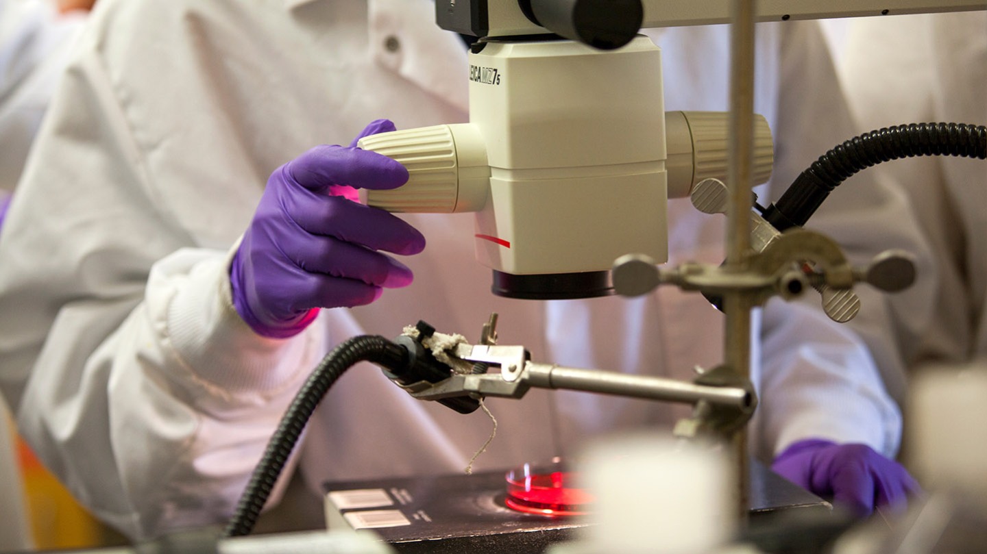 Research | Ophthalmology | Medical School | Brown University